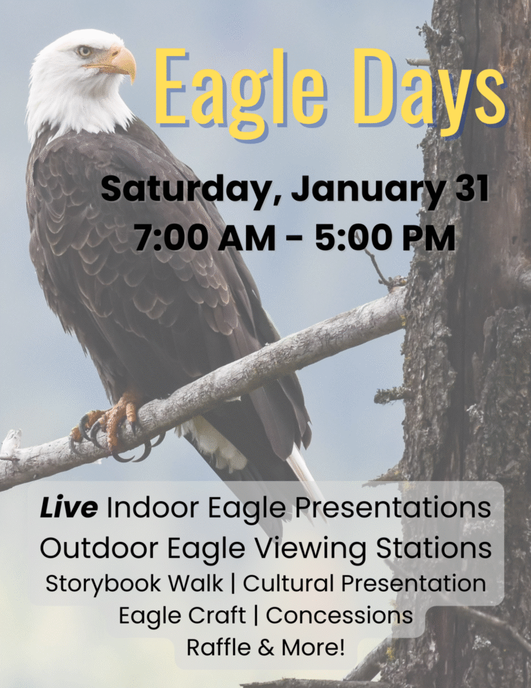 Eagle Days at 1000 Islands - City Of Kaukauna